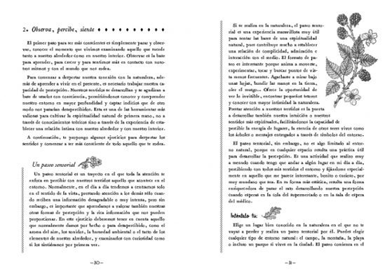 EN MI BOSQUE INTERIOR | SOLITUDE OF ALANNA | Casa del Libro Colombia