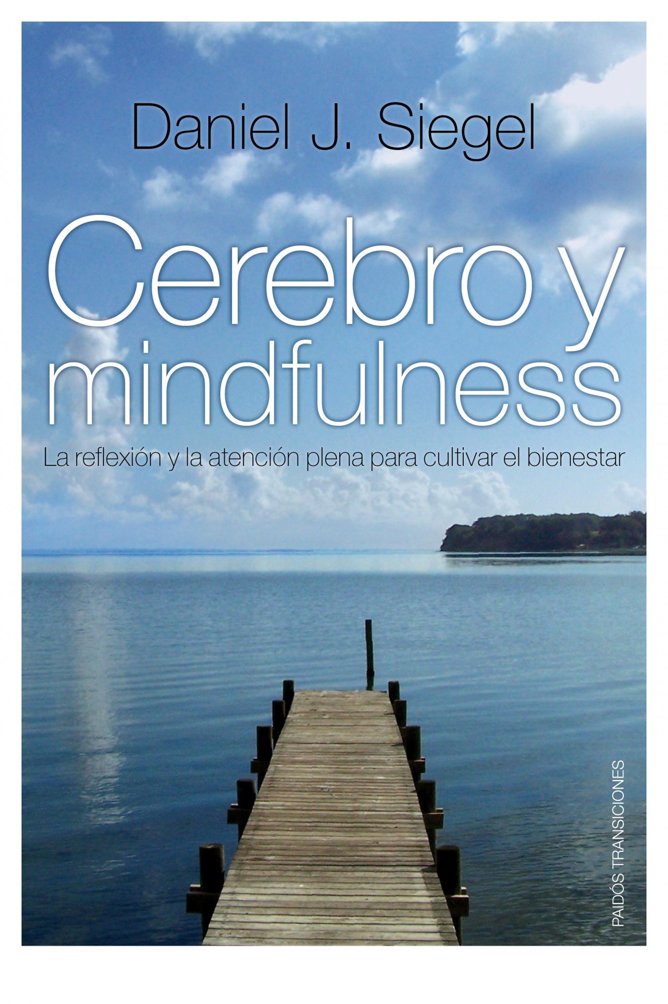 CEREBRO Y MINDFULNESS | DANIEL J. SIEGEL | Comprar libro 9788449324093