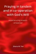 PRAYING IN TANDEM AND IN CO-OPERATION WITH GOD'S WILL: EXPERIENCING ...